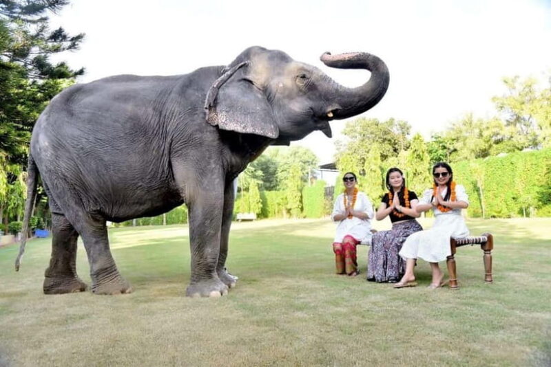 2 Days complete Jaipur tour with elephant safari with guide. | The ...