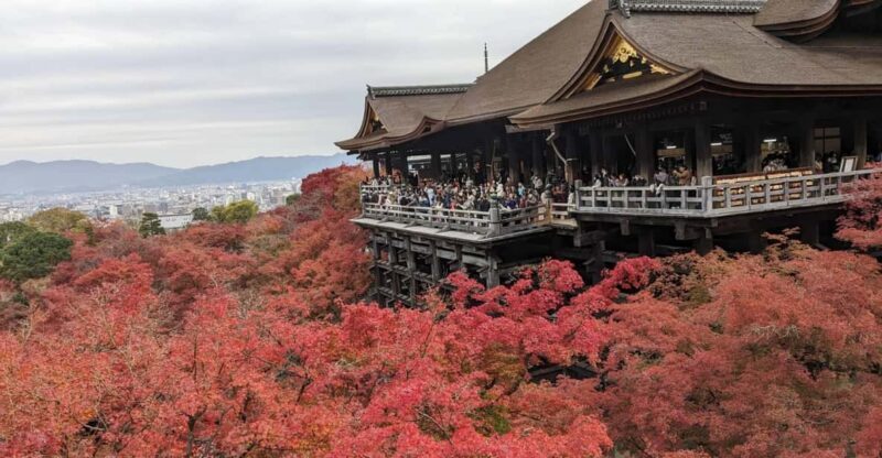 Kyoto: Walking tour Kiyomizu, Geisha District with a Local | The Abroad ...