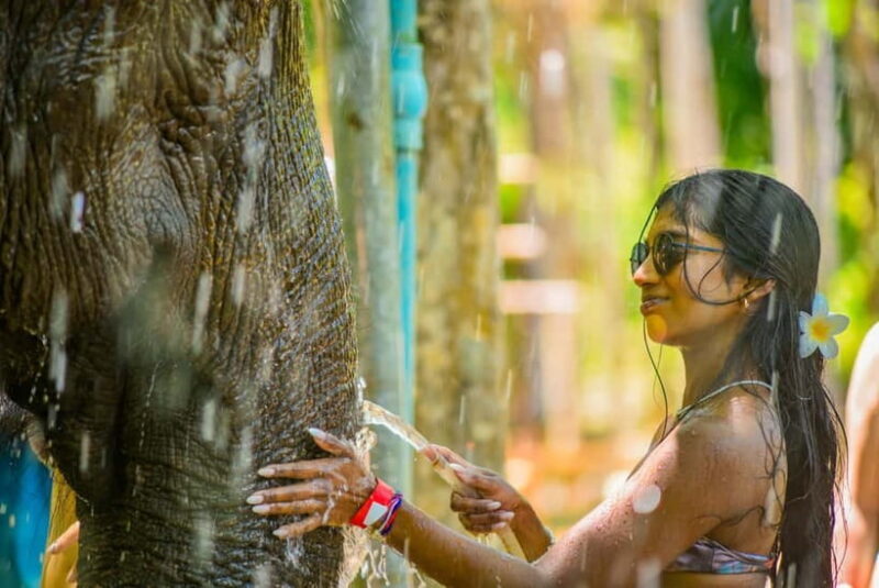 Phuket: Happy Hour Feed and Rain Shower with Elephant | The Abroad Guide