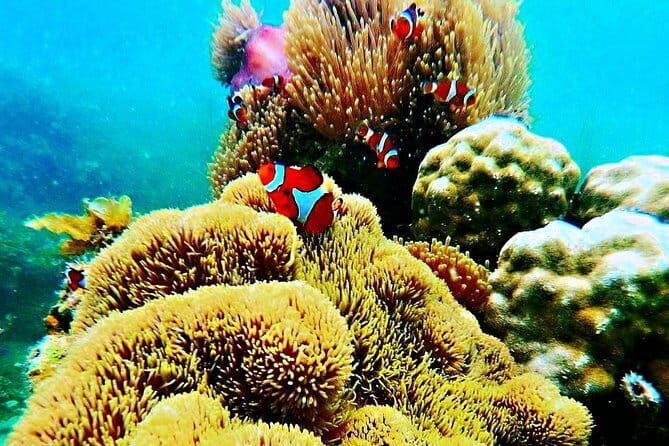 Private One Day Bintan Island Tour | The Abroad Guide