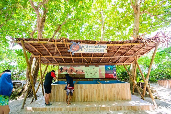 Similan Islands Snorkeling Tour By Speed Catamaran From Phuket | The ...